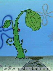 Bob l'Eponge : Bob l'éponge (SpongeBob Squarepants)